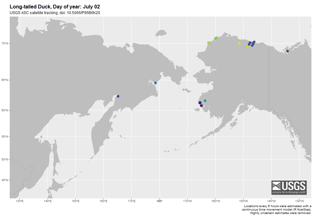 Wildlife Tracking Maps and Data Visualizations