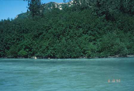 NAWQA Cook Inlet Basin Study Unit - Site Transect Details