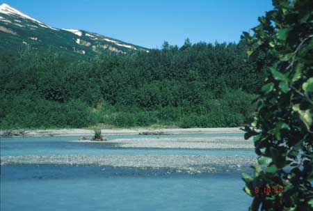 NAWQA Cook Inlet Basin Study Unit - Site Transect Details