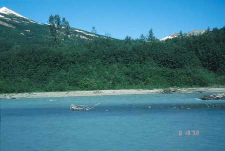 NAWQA Cook Inlet Basin Study Unit - Site Transect Details